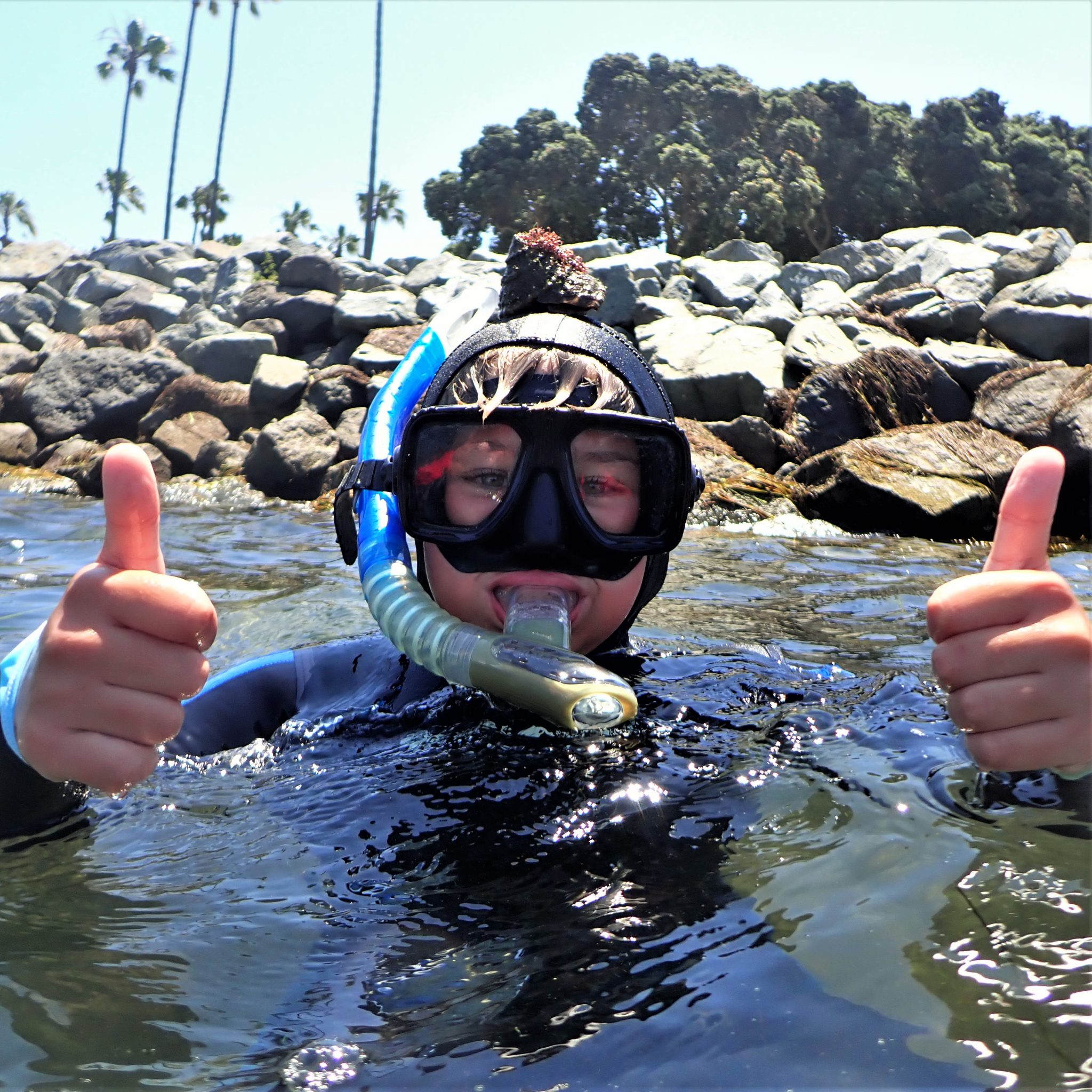 Spring Break Camp – SEACAMP San Diego